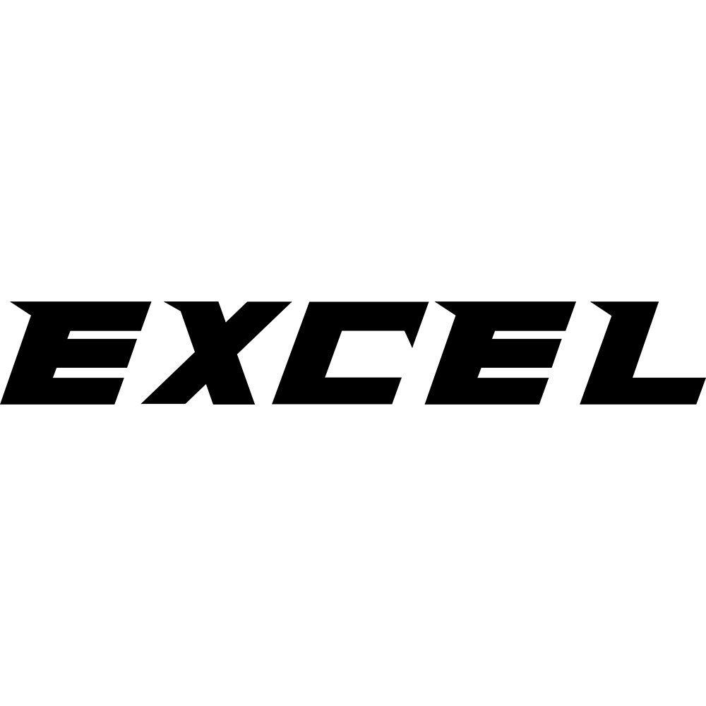Excel Rims Logo Excel Flat Track Wheel Set | Custom Moto Wheels